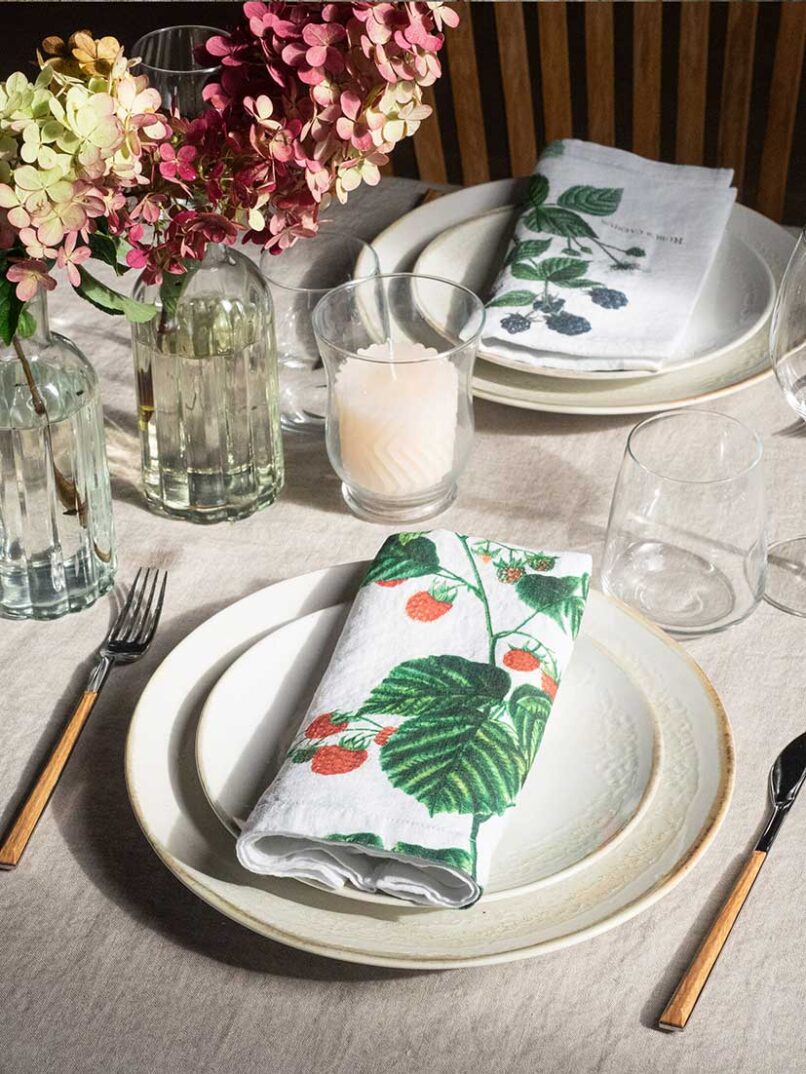 Linen Napkins │ Charming Serviettes for Your table │ LINOROOM