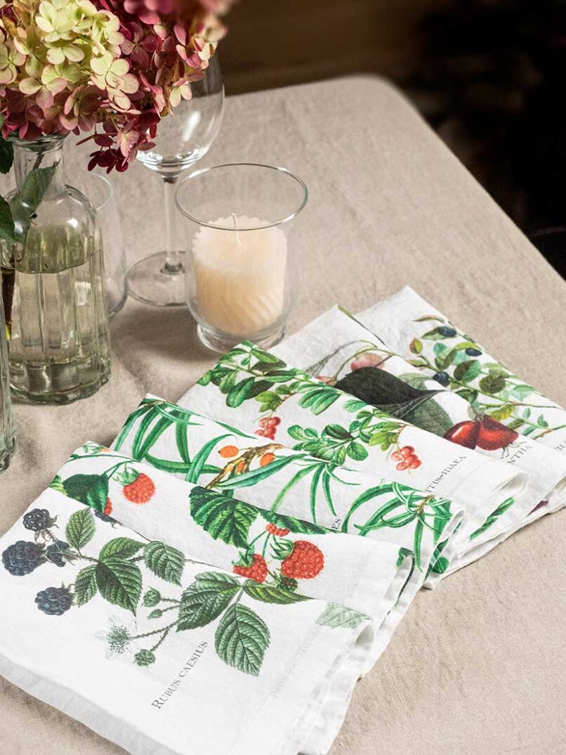 Linen Napkins │ Charming Serviettes for Your table │ LINOROOM