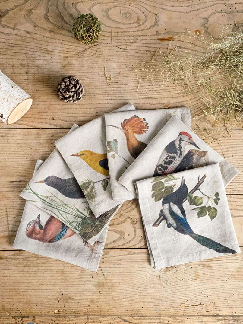 Linen Napkins │ Charming Serviettes for Your table │ LINOROOM